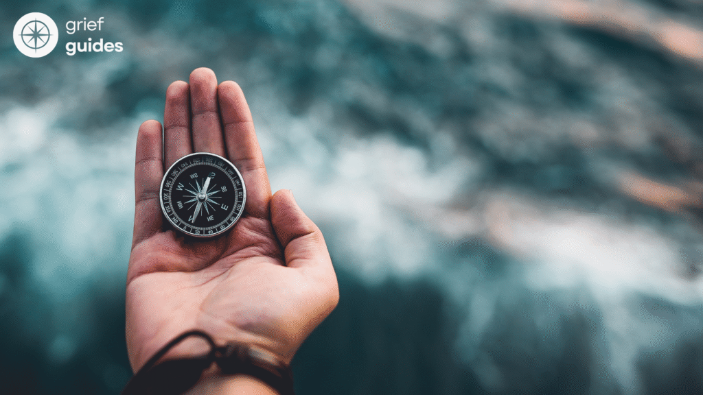 Therapist Training - Elephants In Rooms